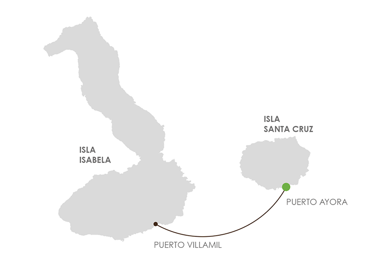 Tour à Ilha Isabela 2025