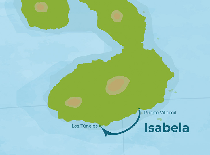 Excursão a Los Túneles de Cabo Rosa na Ilha Isabela em Galápagos 2025