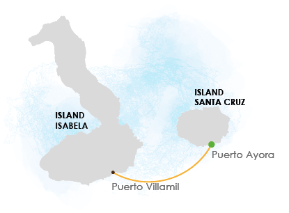 Tour à Ilha Isabela 2025